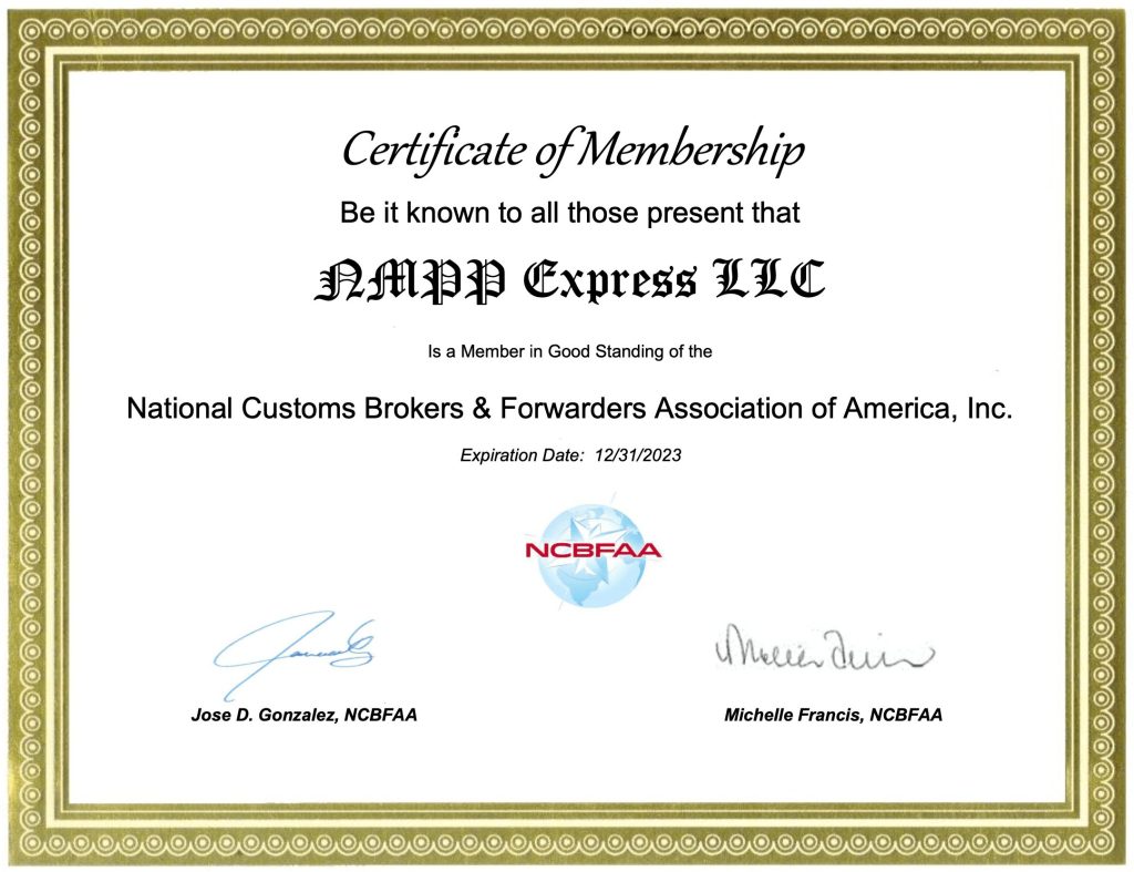 NMPP Express LLC - Global Reach. Local Care.